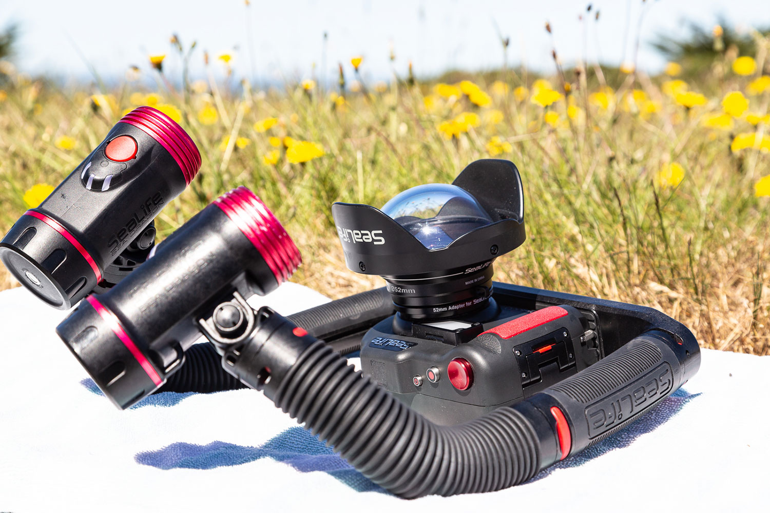 How to Shoot Great Wide-Angle Images | Scuba Diving