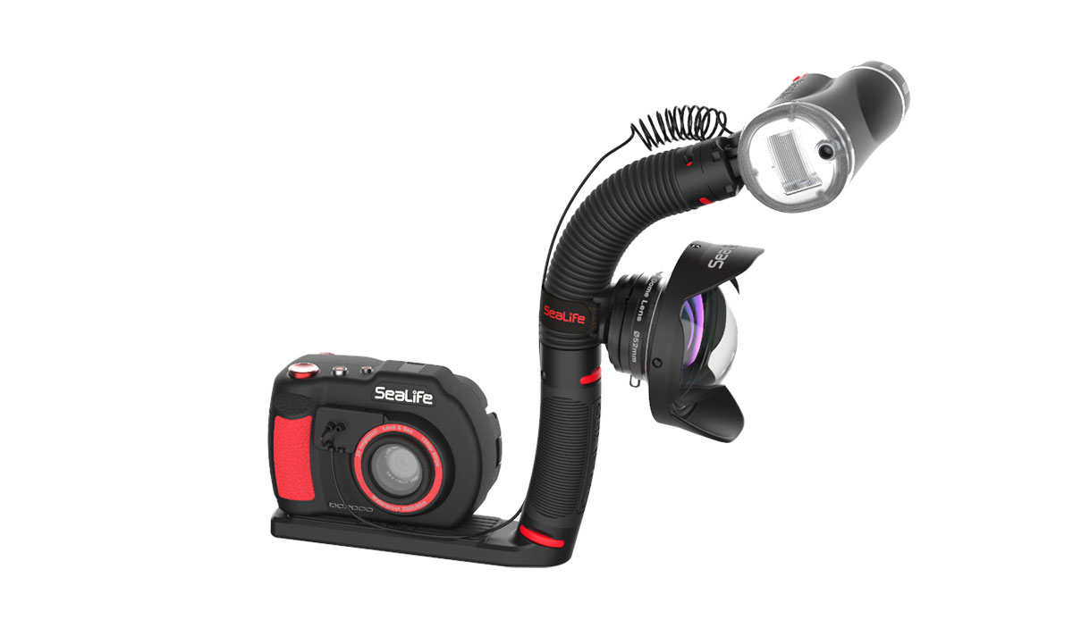 How to Shoot Great Wide-Angle Images | Scuba Diving