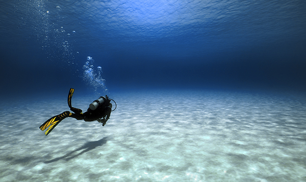 2013 Underwater Photography Contest Finalists | Scuba Diving