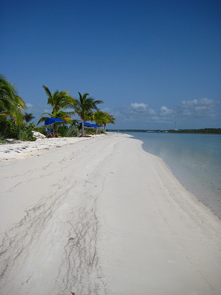 Deep Water Cay: Grand Bahama’s Virtually Private Diving | Scuba Diving