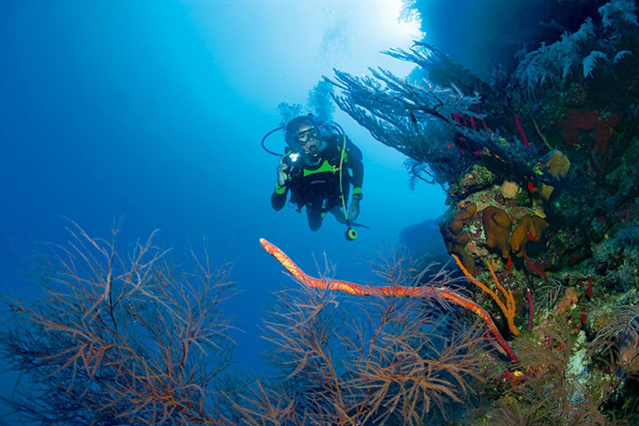 A Match Made In the Cayman Islands | Scuba Diving