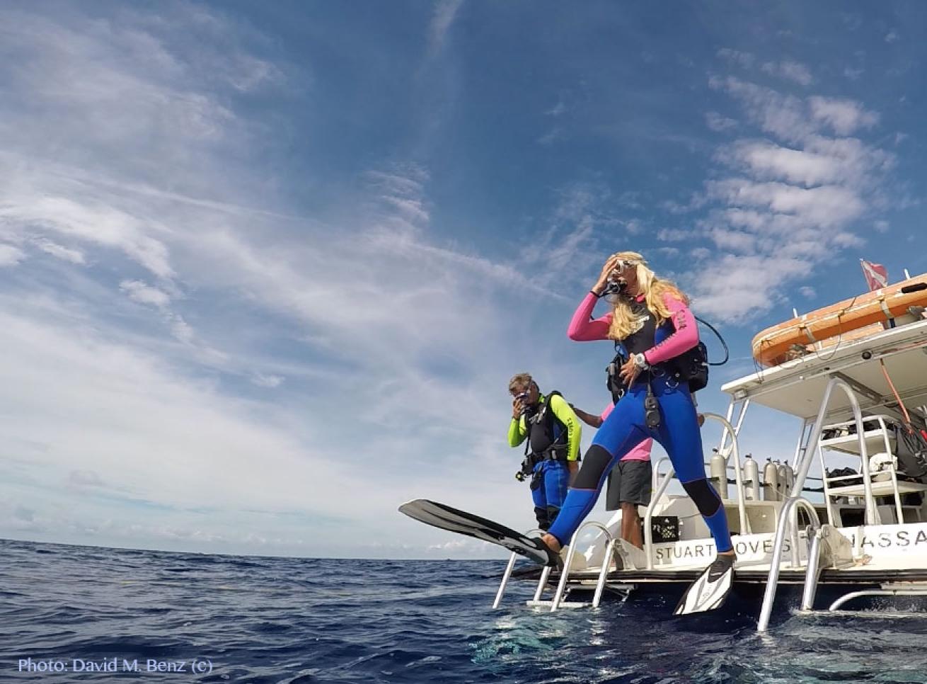 Dive Expedition in the Bahamas | Scuba Diving
