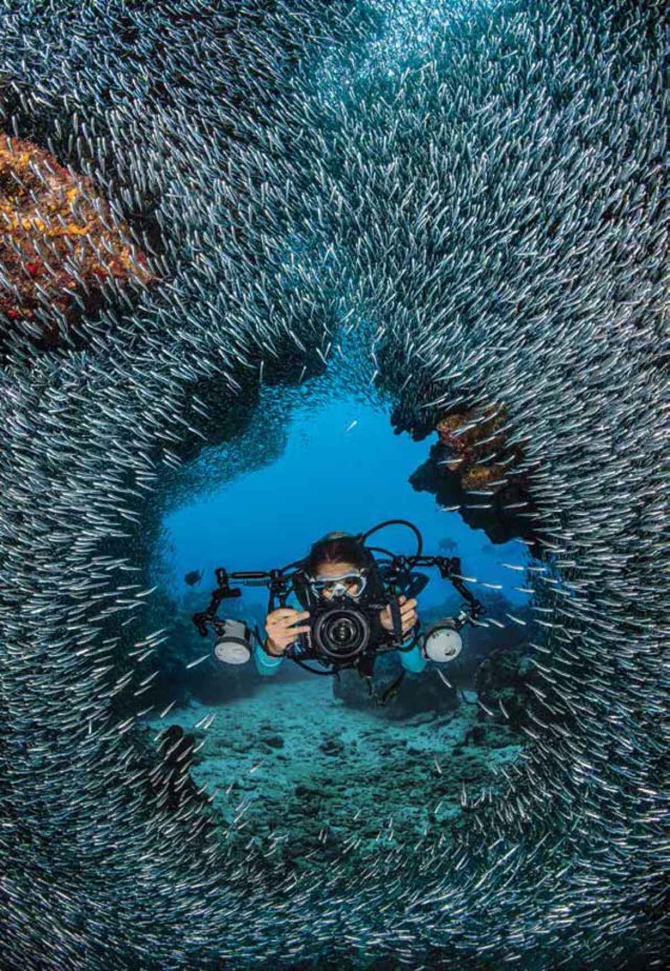 Cayman Islands Five Ways | Scuba Diving