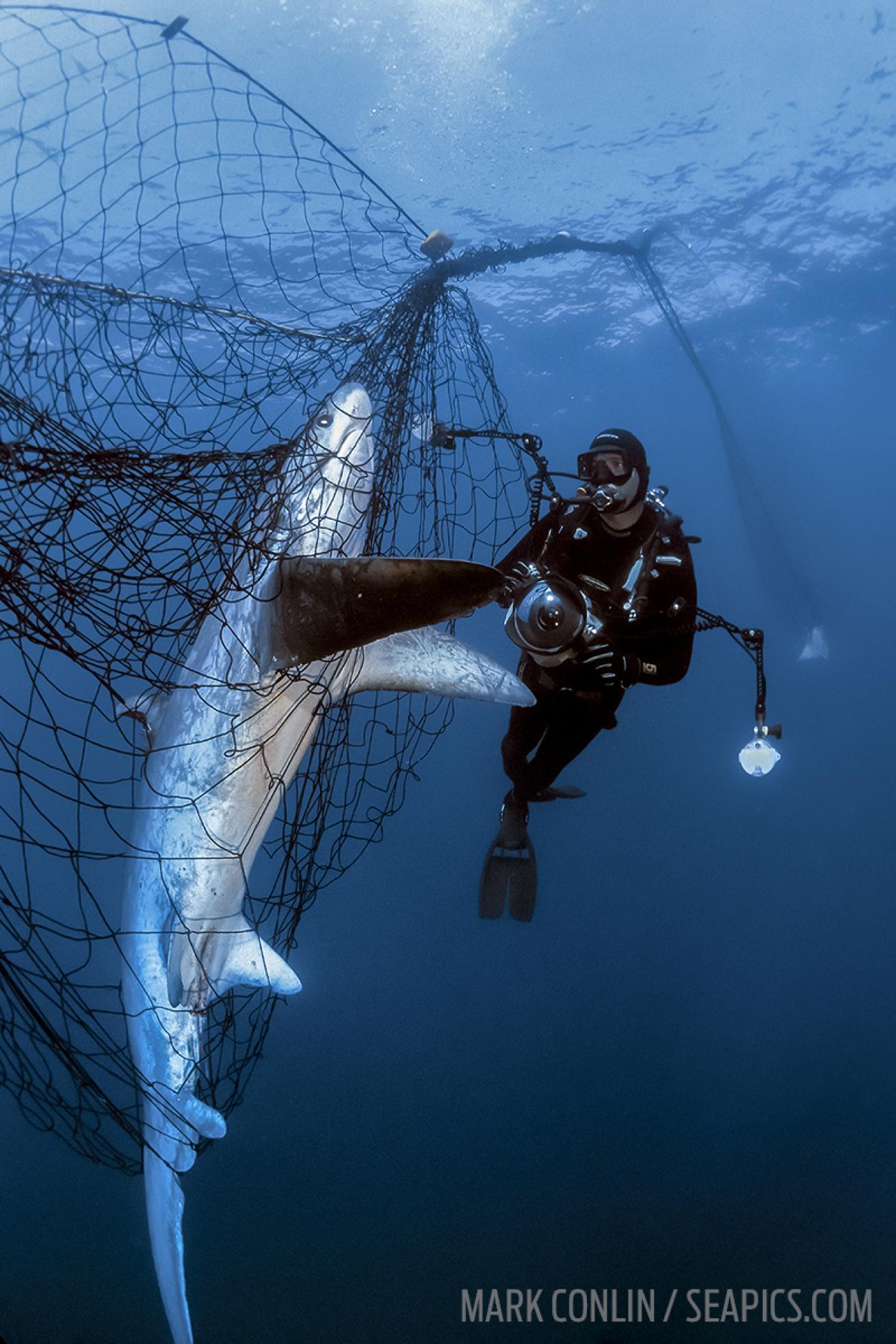 Swimwear, Skateboards and Shoes Made From Recycled Fishing Line and ...