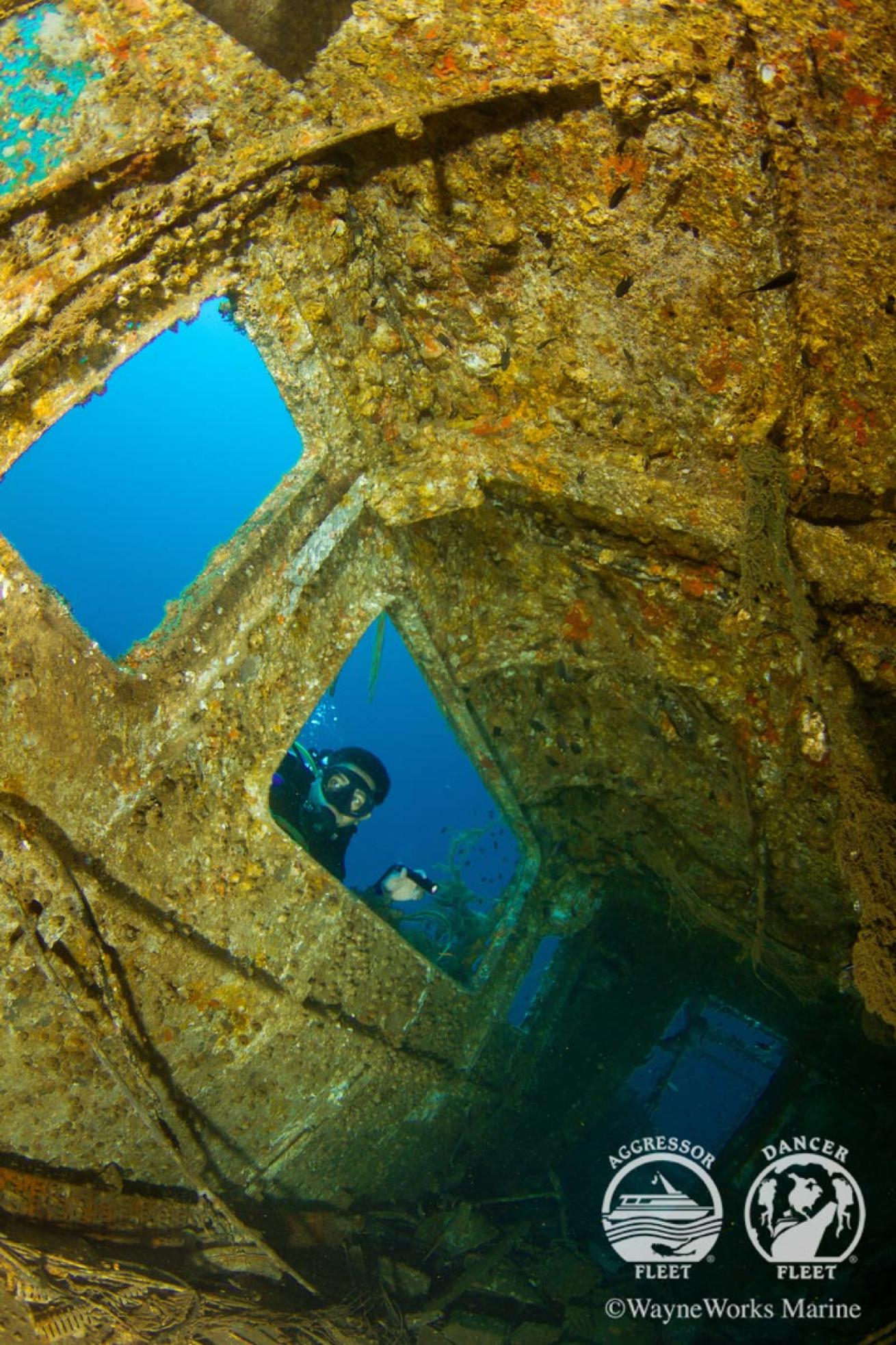 25 Advanced and Awesome Shipwrecks for Technical Scuba Divers to ...