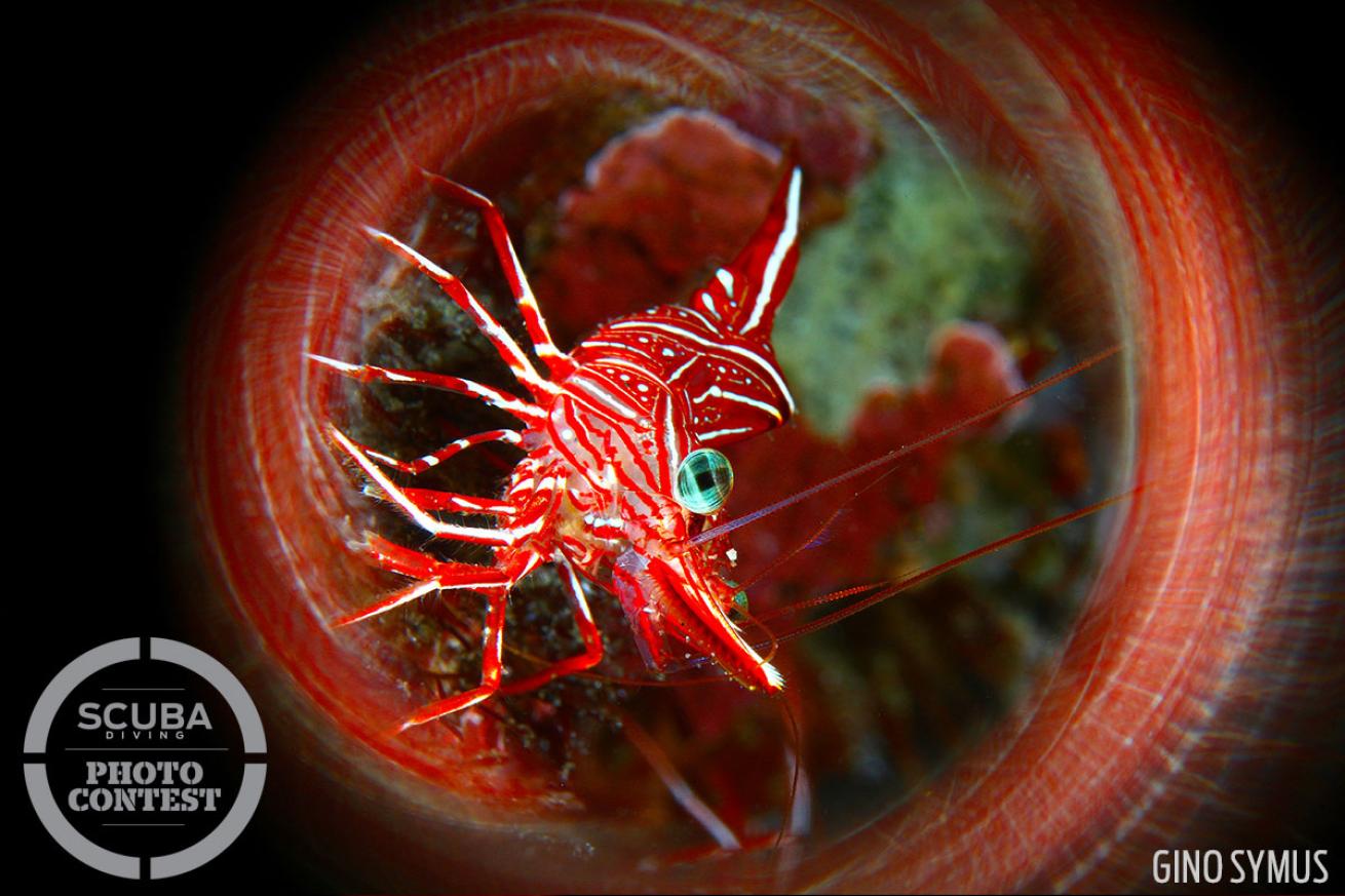 Our Favorite Red, White and Blue Photos from the 2016 Photo Contest ...