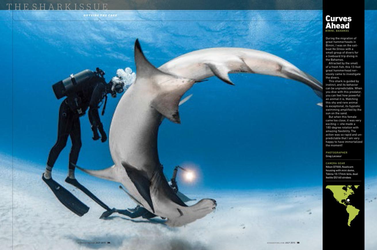 Double Vision: Scuba Diving Photo Contest Winner Takes Top Nat Geo ...
