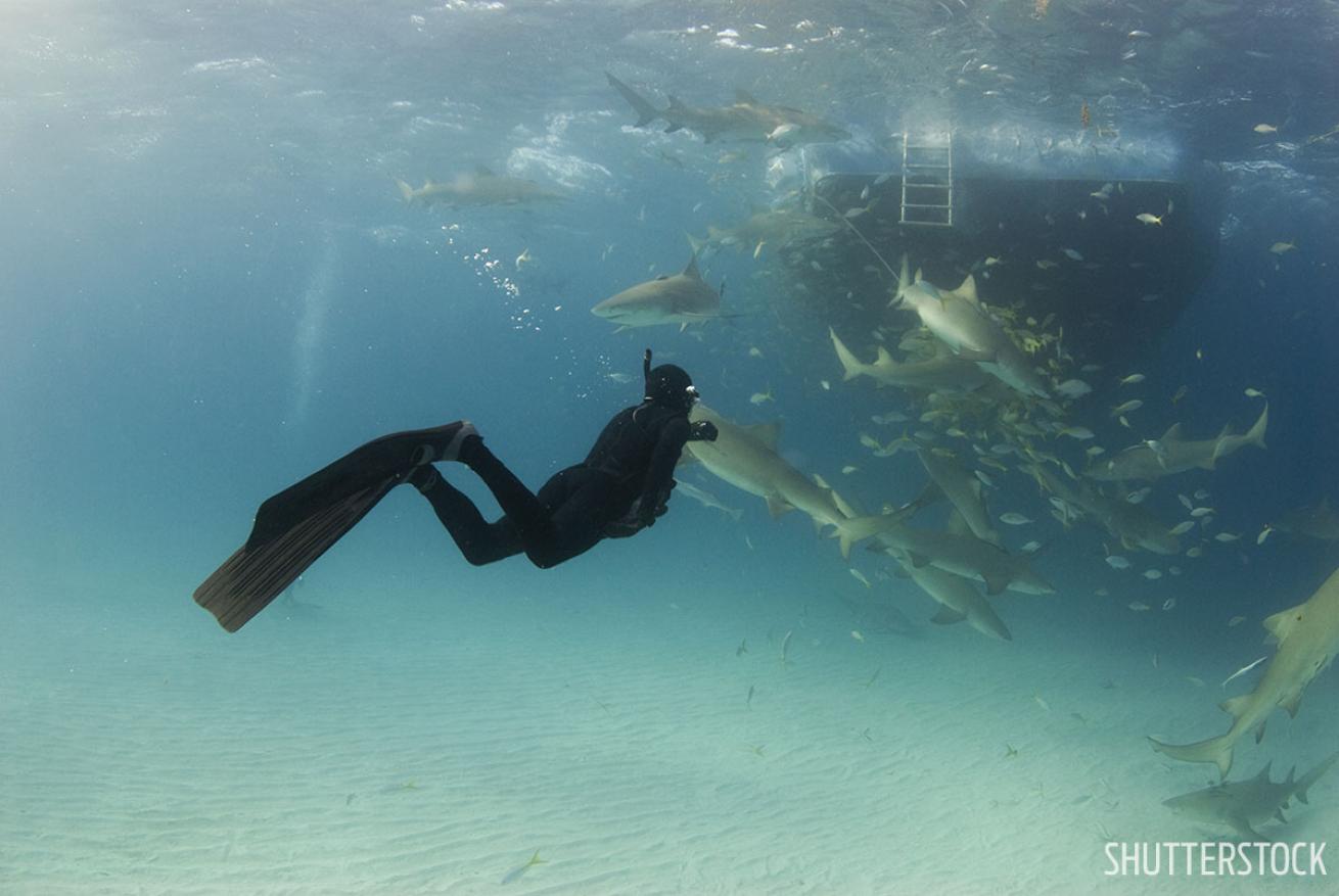 Best Destinations For Freediving — 2017 Readers Choice Awards | Scuba ...