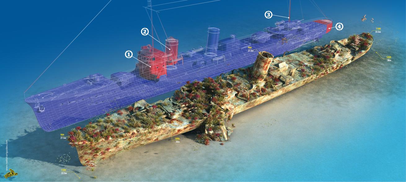 How Shipwrecks Corrode | Scuba Diving
