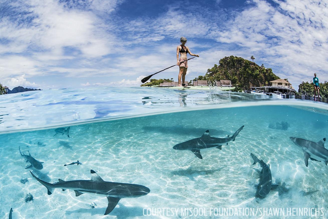Andrew and Marit Miners Honored as Scuba Diving Sea Heroes for Work On ...