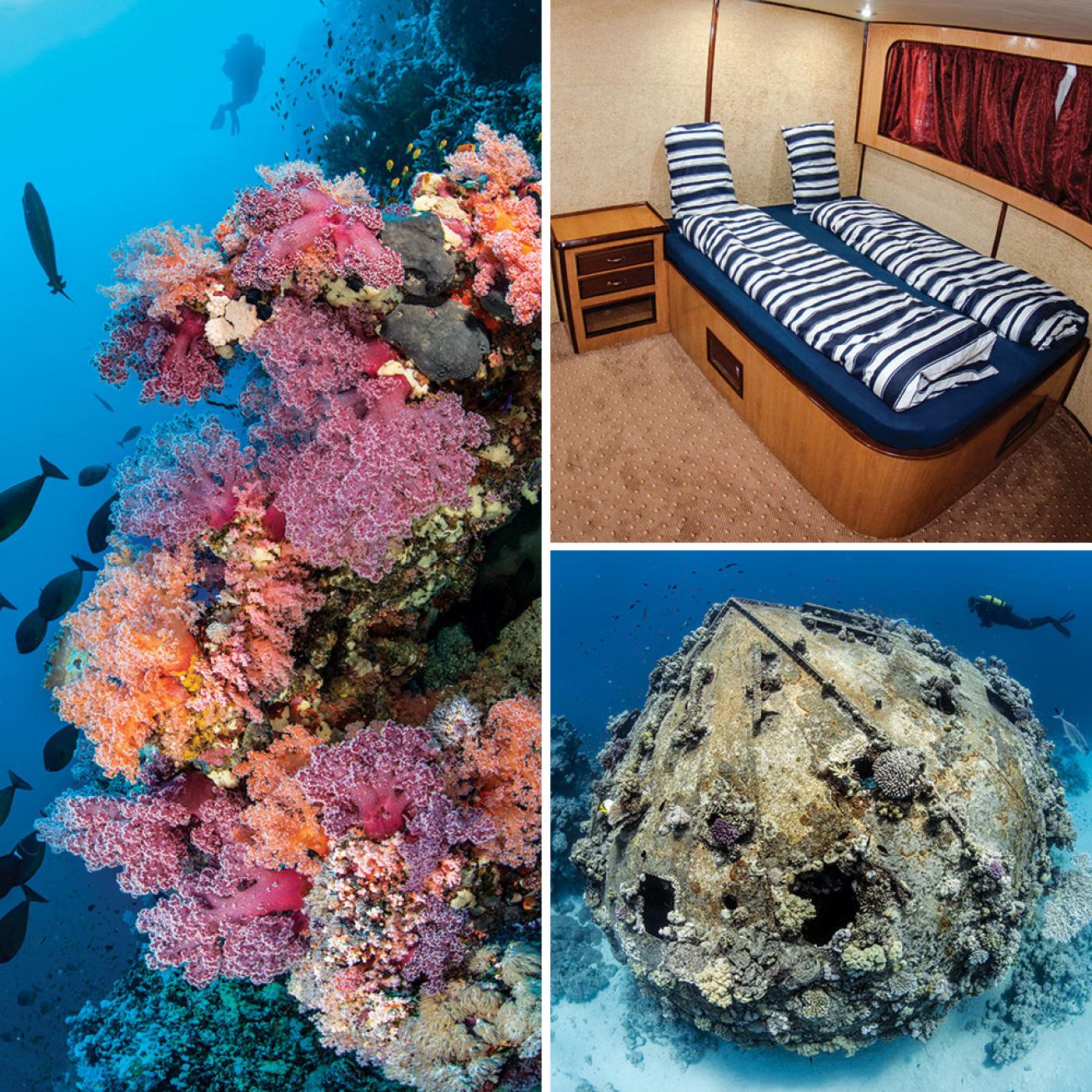 The Red Sea's Deep South Delivers World-Class Scuba Diving off Sudan ...