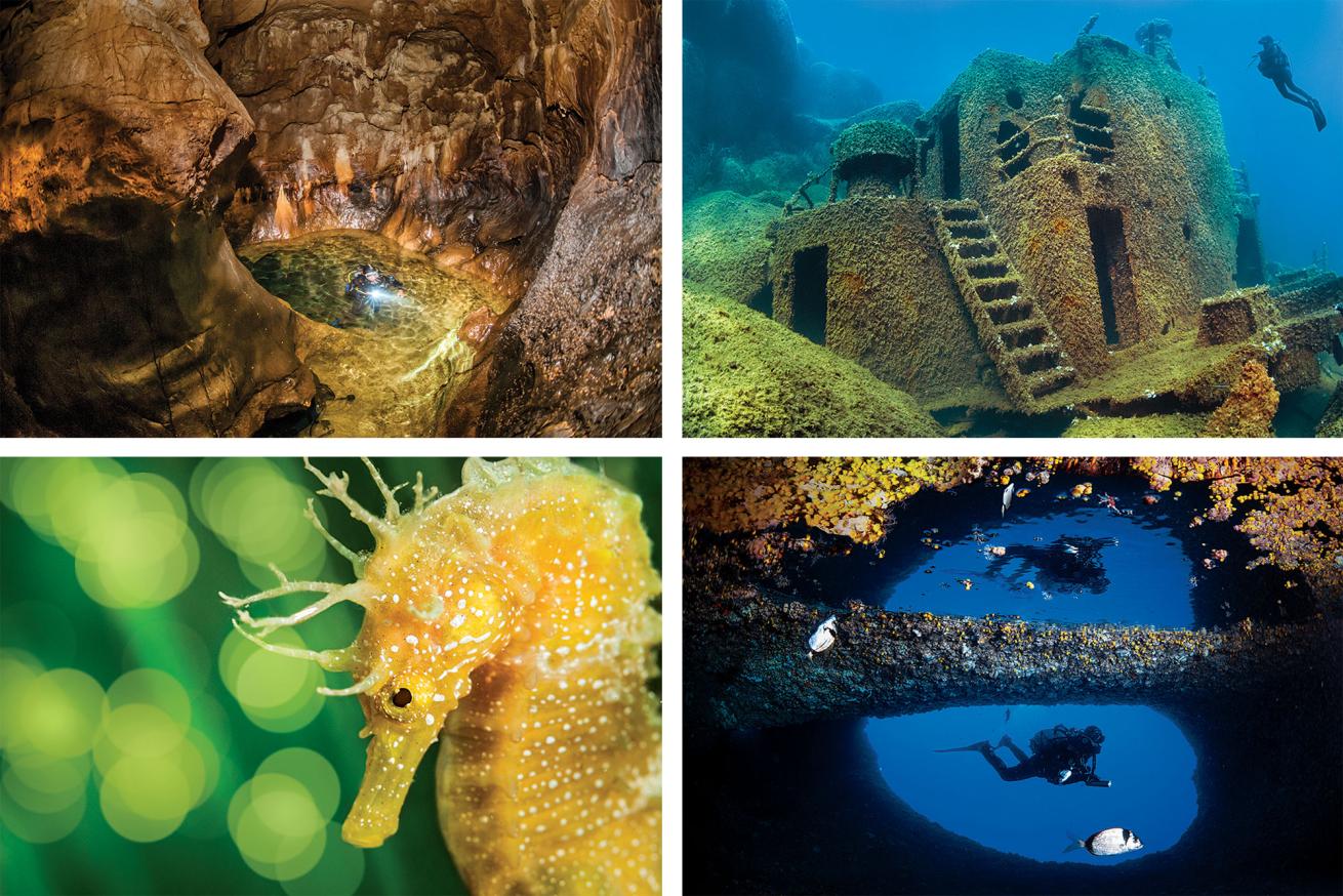 Scuba Diving In Sardinia