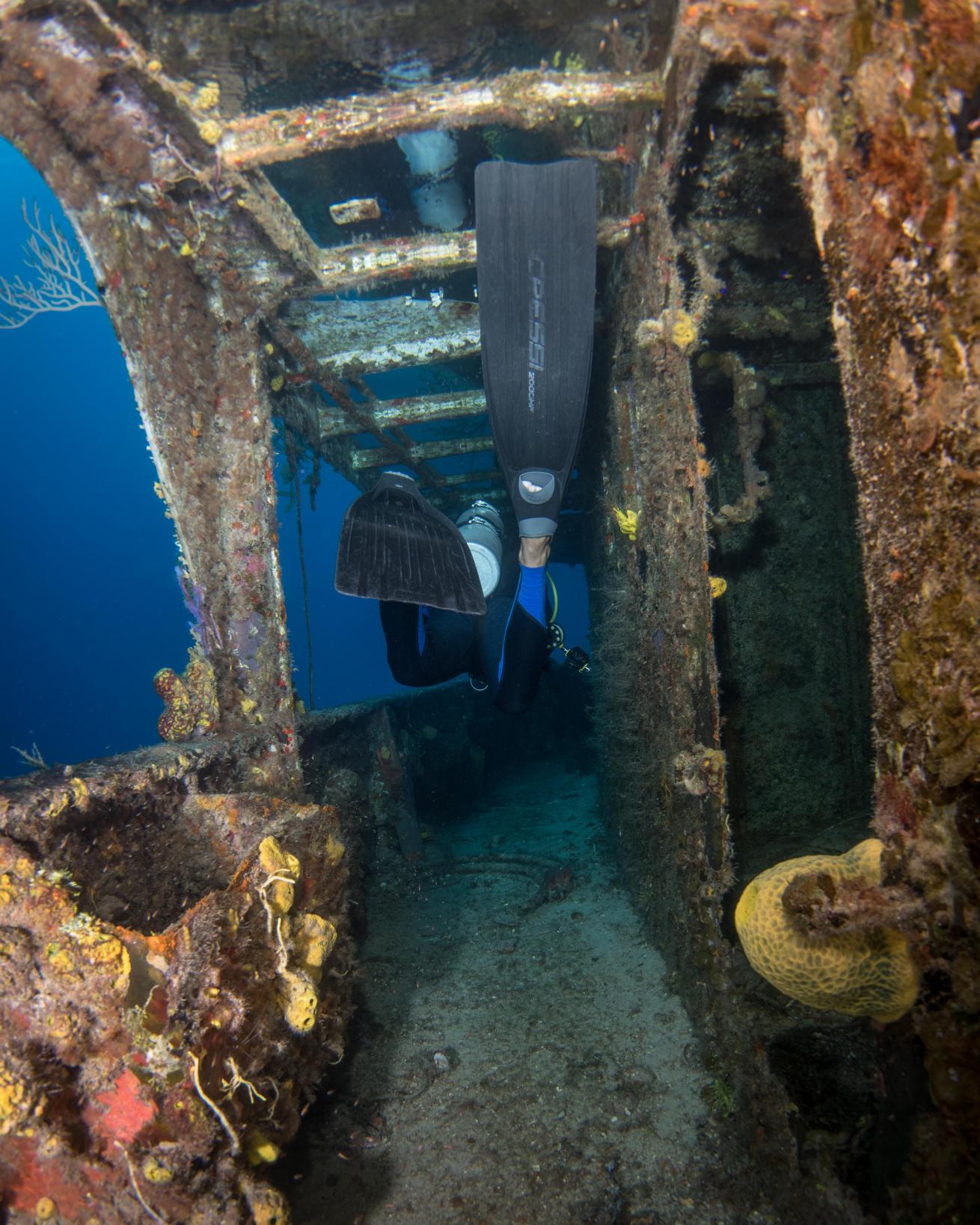The Bahamas: Still Welcoming Divers | Scuba Diving