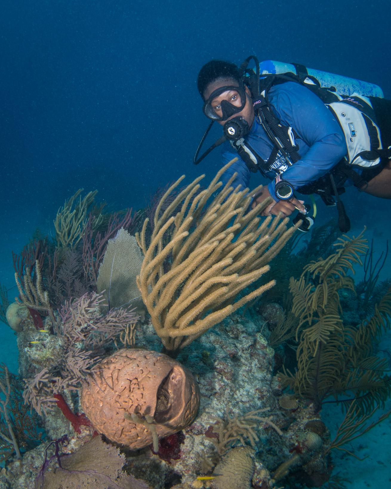 The Bahamas: Still Welcoming Divers | Scuba Diving