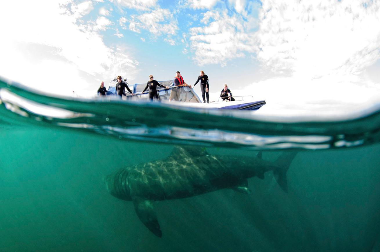 Three Ways Researchers are Using Drones to Protect the Ocean | Scuba Diving