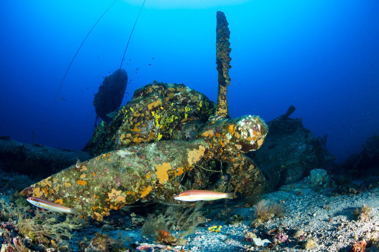Three Recently Discovered Wrecks You Can Dive in the Adriatic Sea ...