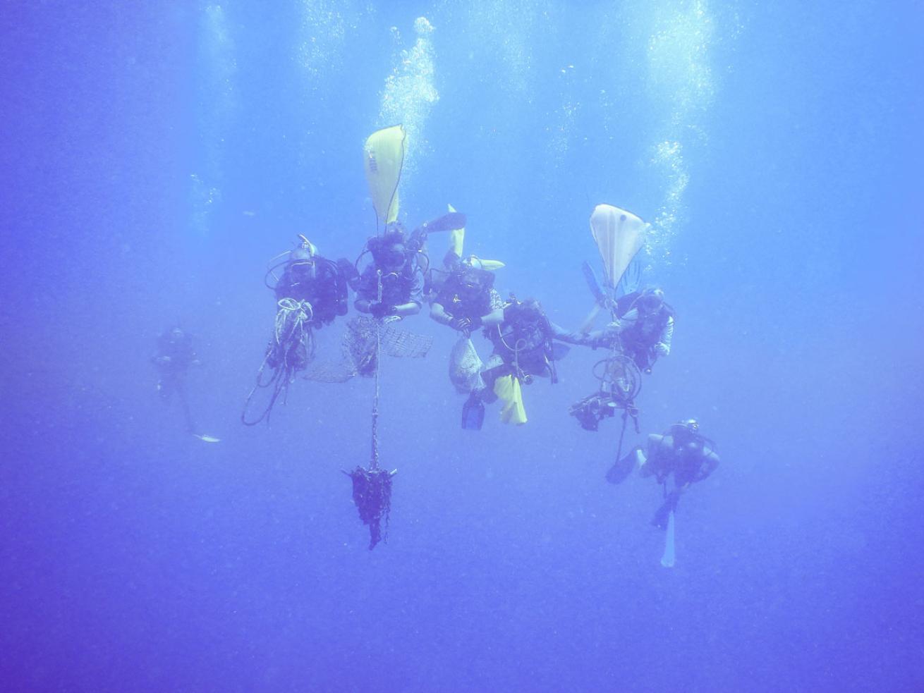 Key Dives Hosts an Epic Day of Conservation with a Trash Trek and ...