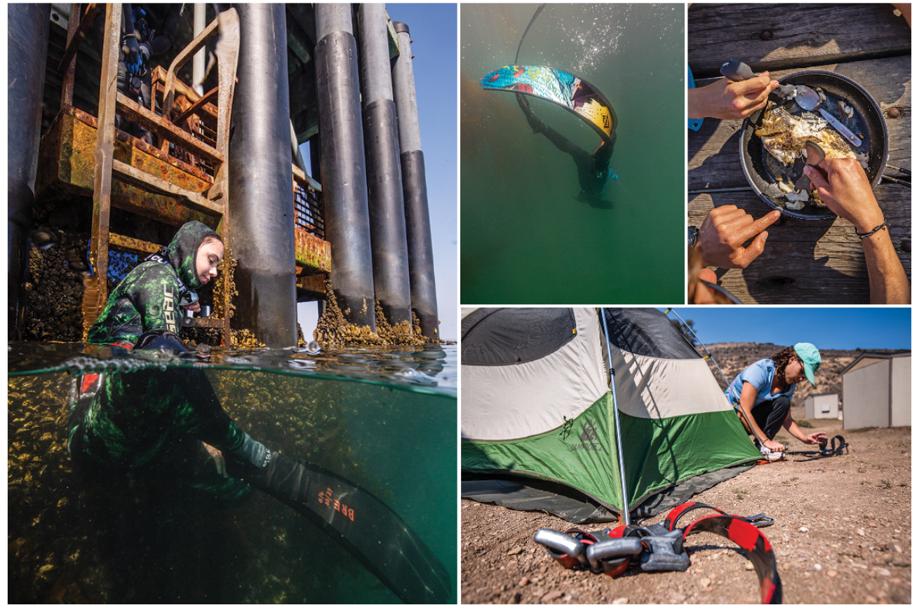 A Rugged Dive Adventure Through Channel Islands National Park | Scuba ...
