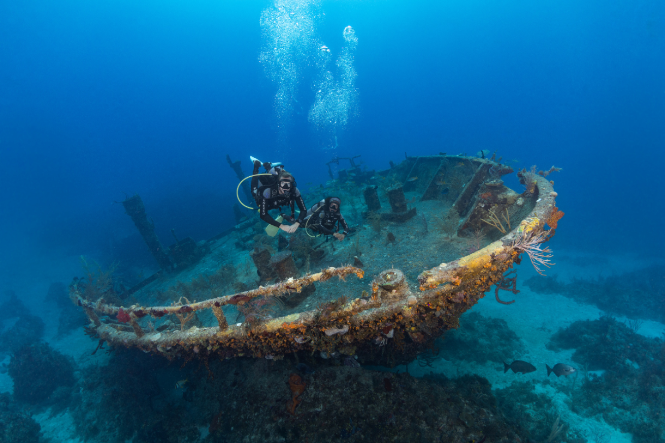 Dive It All on Grand Bahama | Scuba Diving