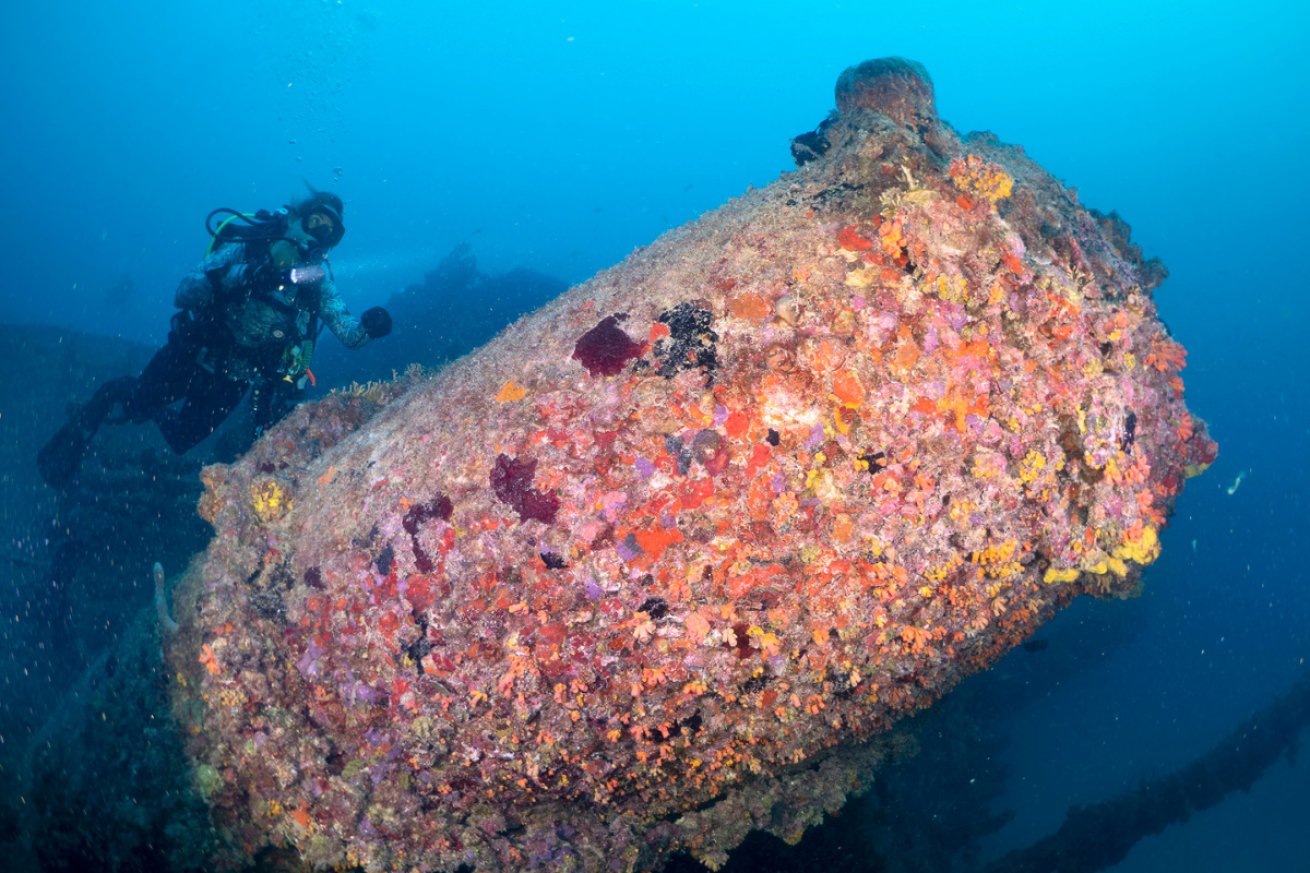 Diving The Eagle Off Islamorada | Scuba Diving