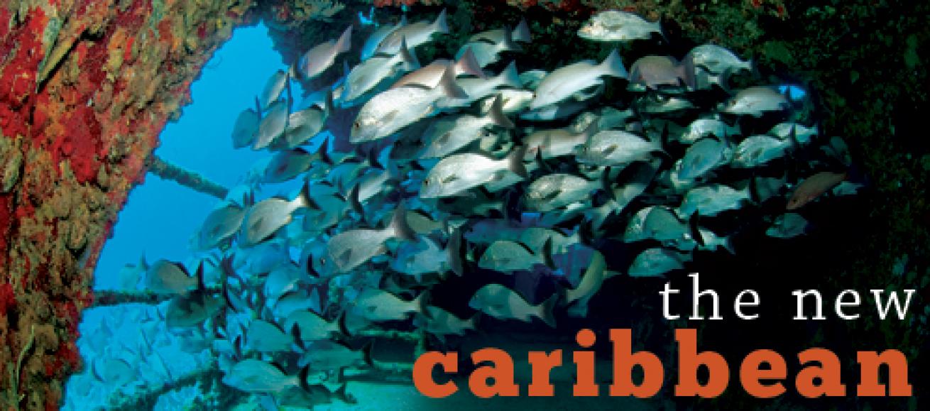 The New Caribbean | Scuba Diving