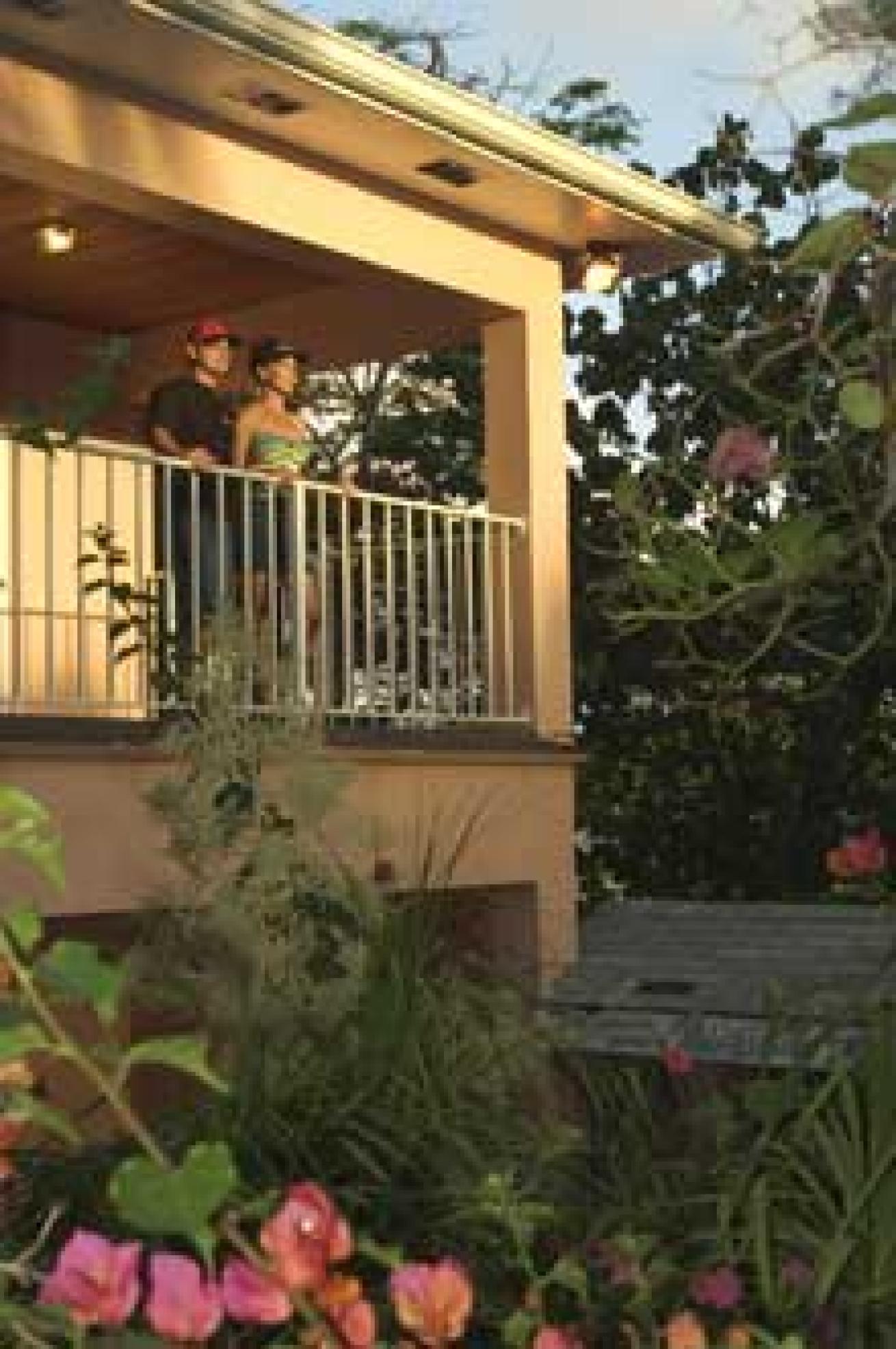 Gallery - Cayman Islands - Continental: Sunset House Cayman Summer ...