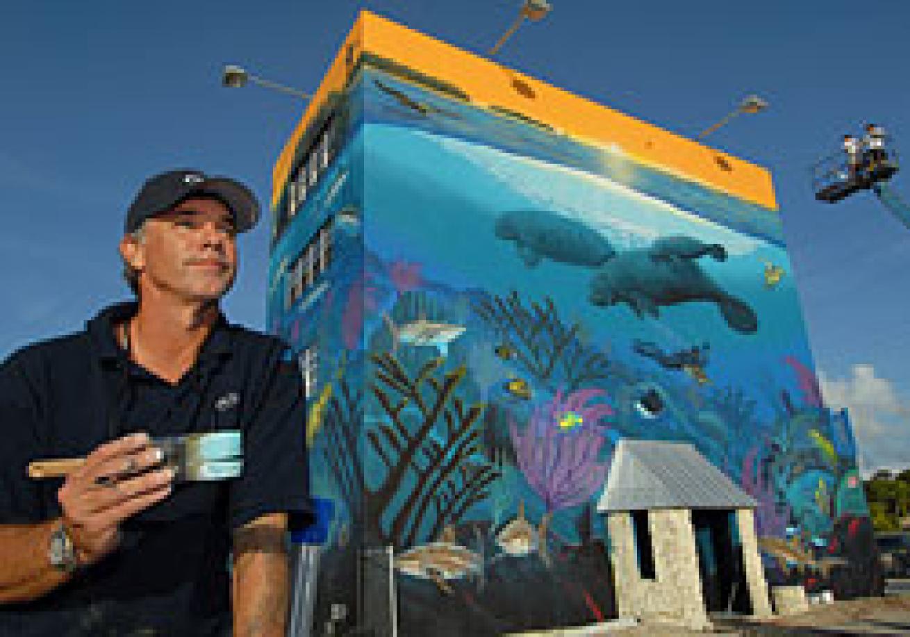 Diving And Fishing Mural