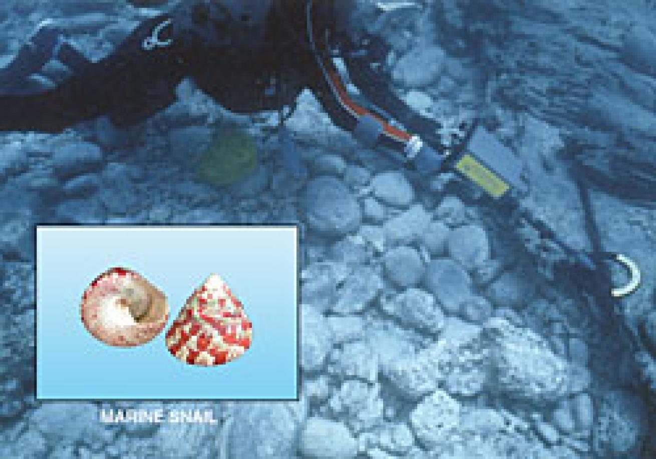 Government Agencies Perform Underwater Searches | Scuba Diving