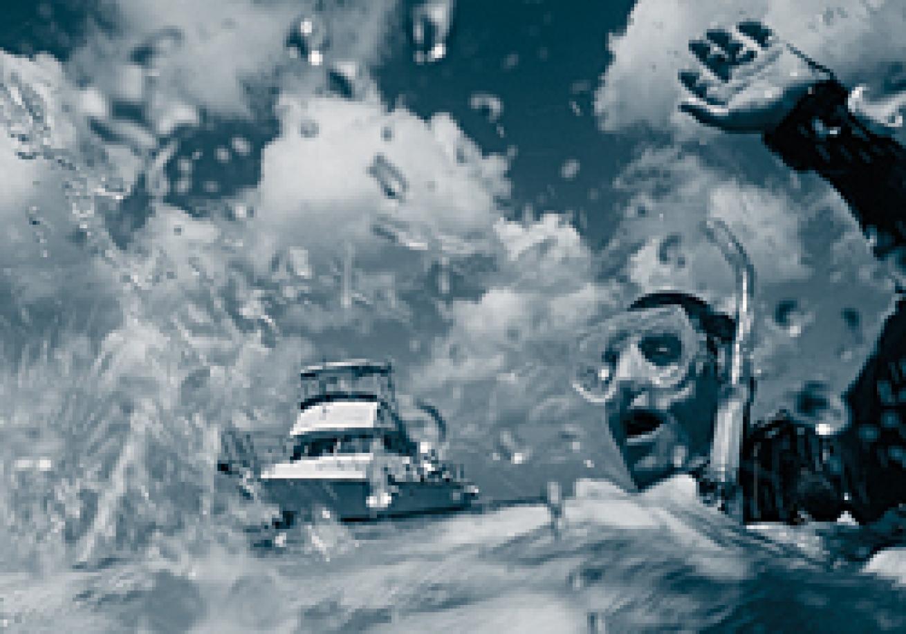 Self-Proclaimed Expert | Scuba Diving