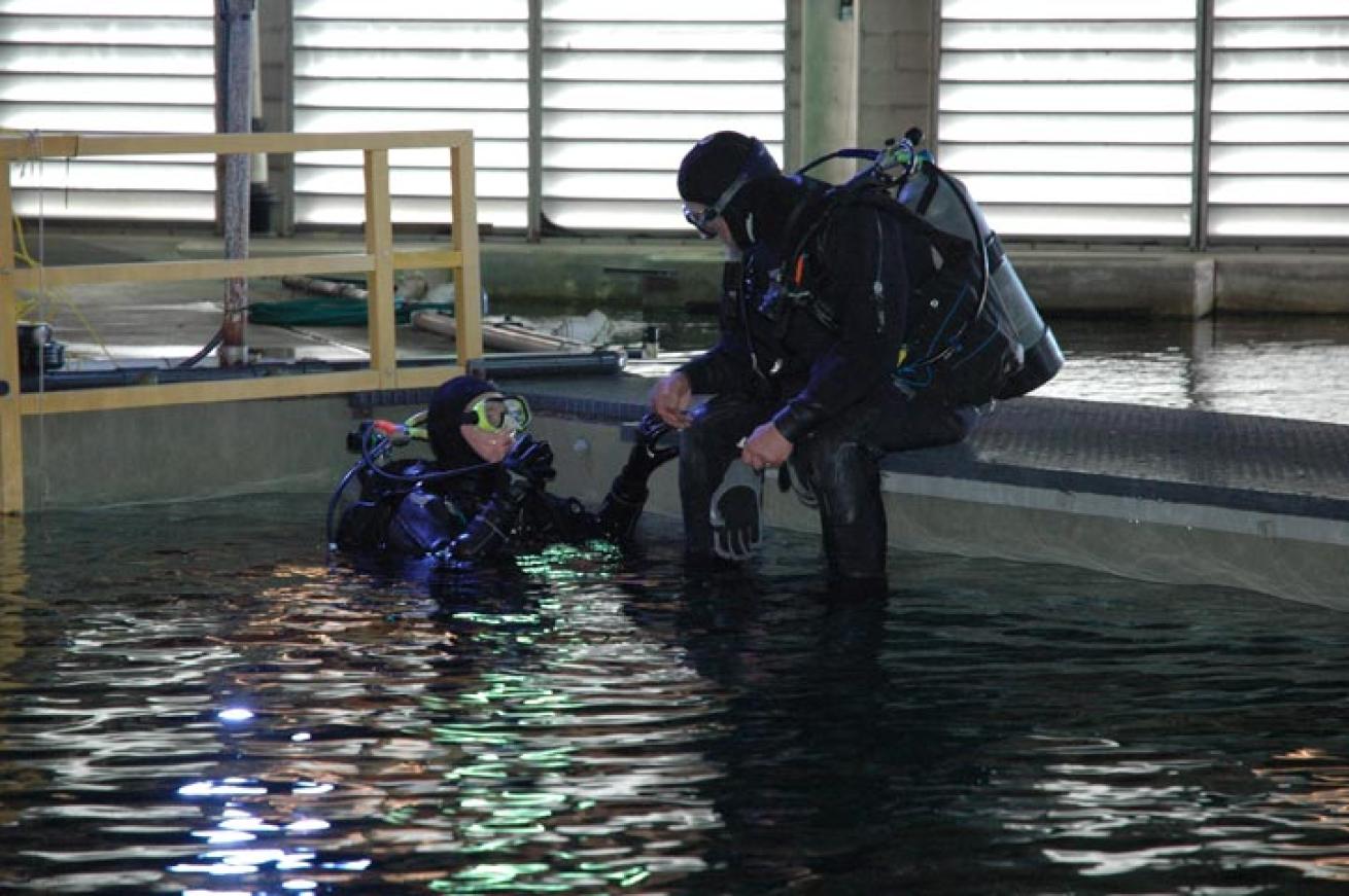 ScubaLab Blog #3: The Testing Begins | Scuba Diving