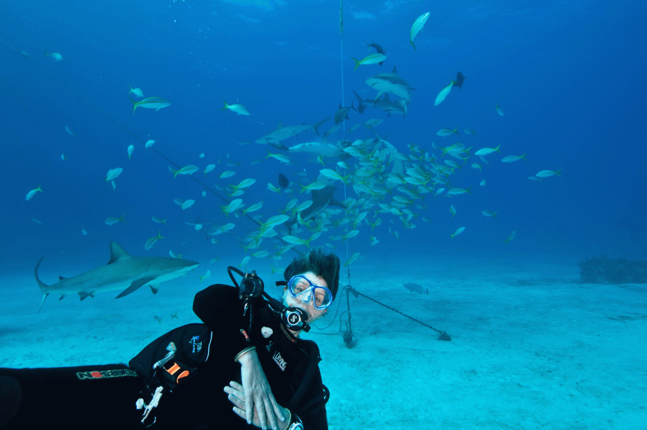 Diving from the Aqua Cat | Scuba Diving