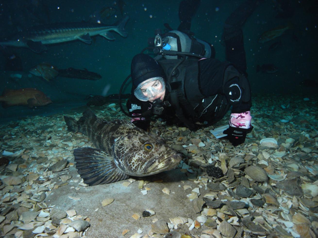 Best Shore Dive on the Oregon Coast | Scuba Diving
