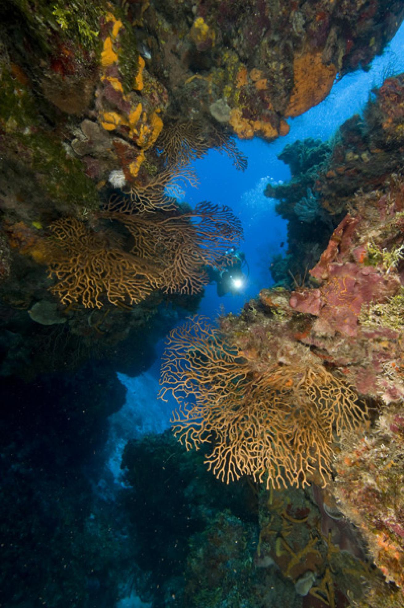 6 Ripping Drift Dives | Scuba Diving