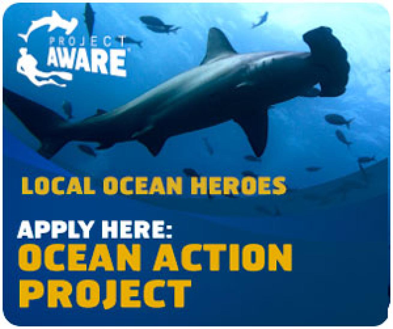 Project AWARE Foundation Launches Ocean Action Project | Scuba Diving