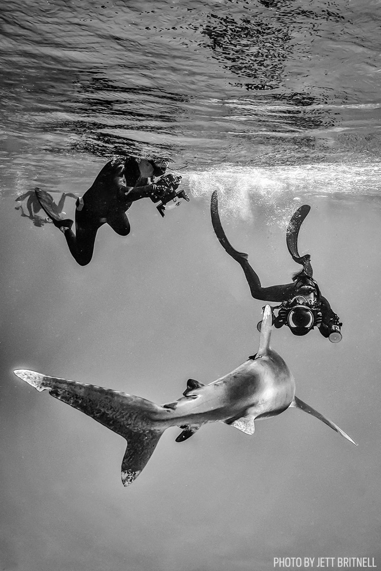 Photo Contest 2014: Black and White Underwater Photography | Scuba Diving