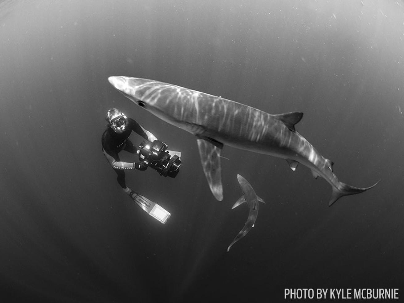 Photo Contest 2014: Black and White Underwater Photography | Scuba Diving