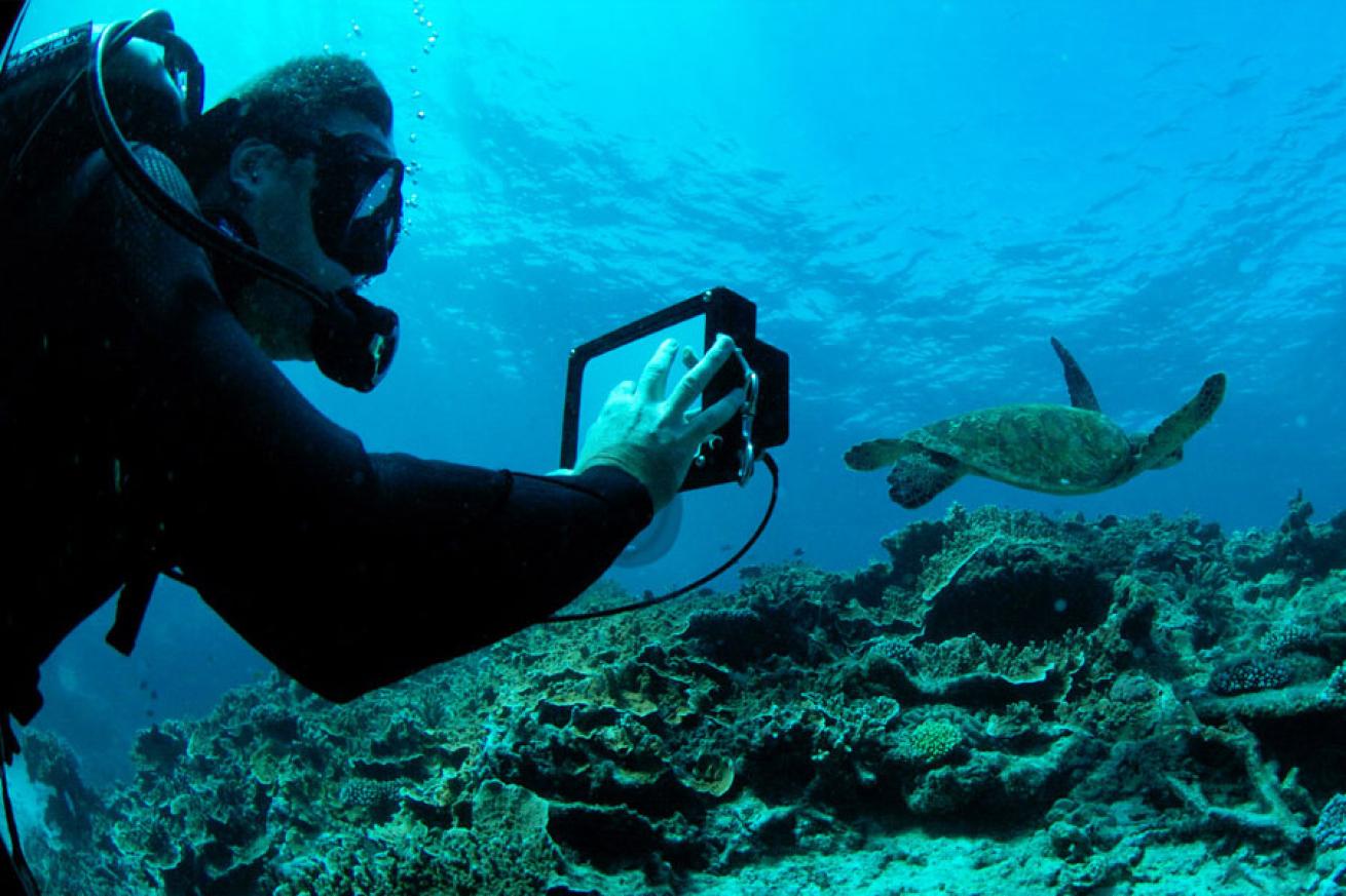 Explore the Ocean Underwater with Google Maps Street View | Scuba Diving