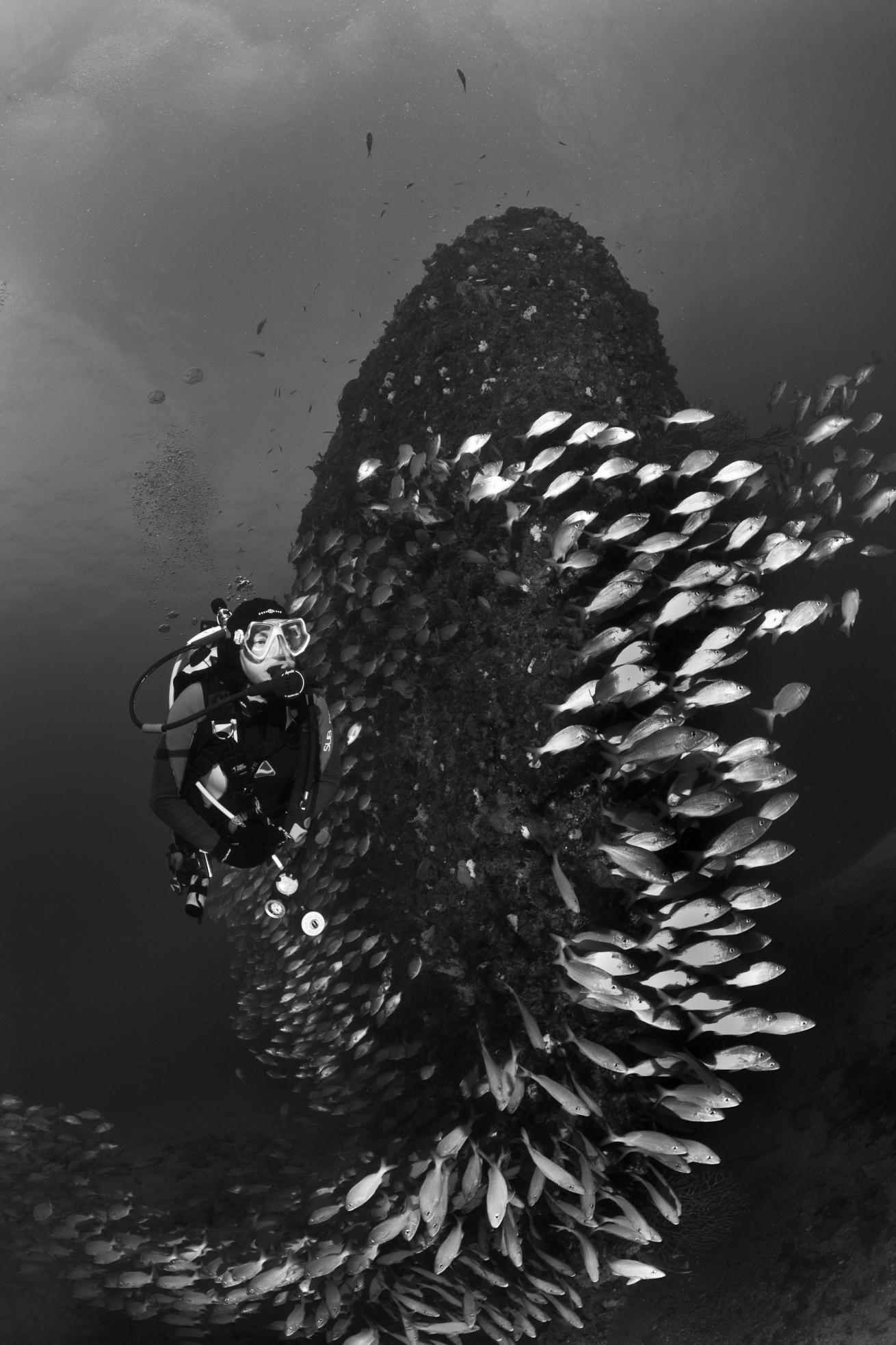 The Wonderful World of Wreck Diving | Scuba Diving