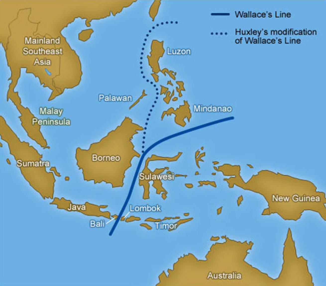 Photo Gallery: Where in the World is Wallace? | Scuba Diving
