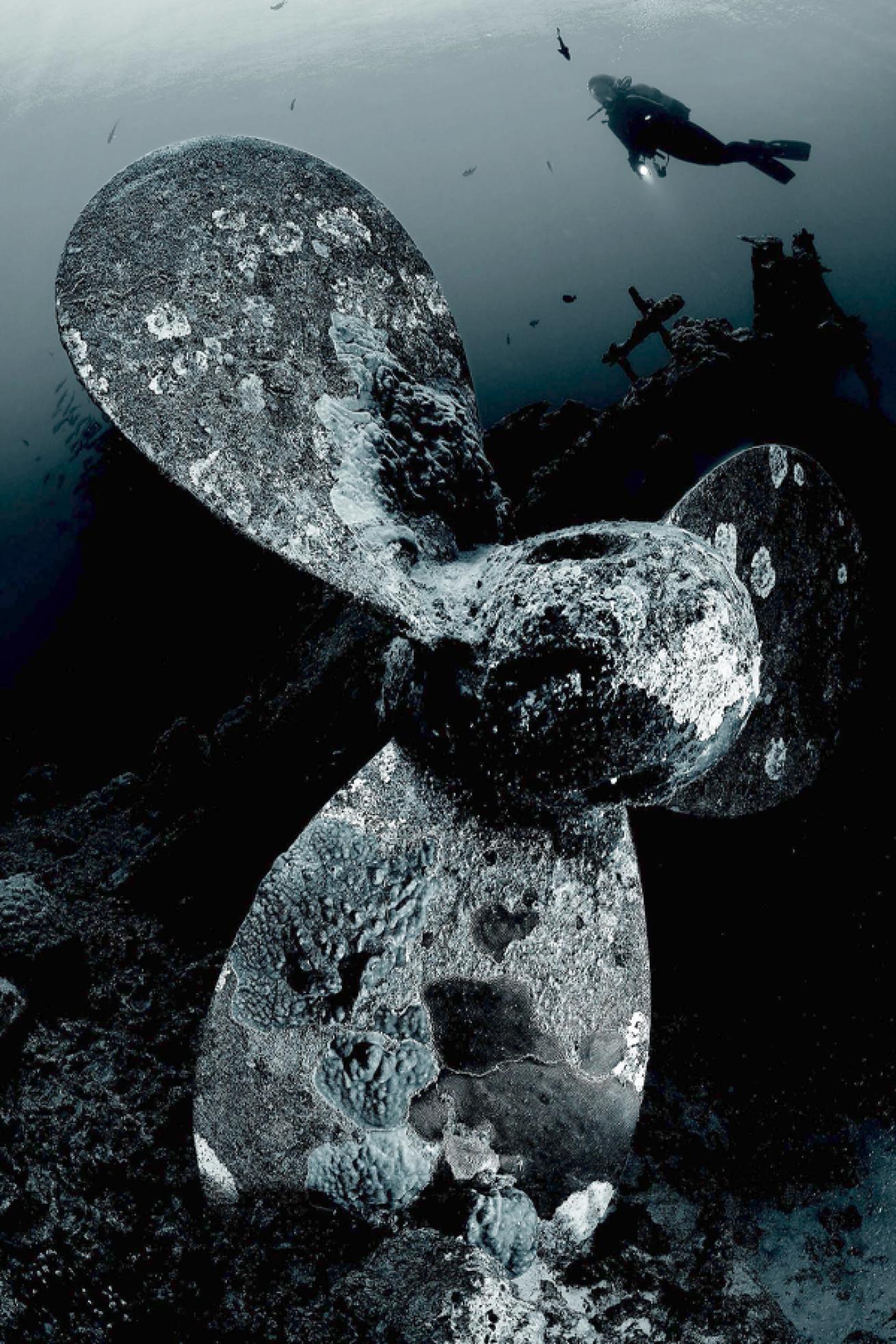 8 Unforgettable Photos of Some of the World's Best Dives | Scuba Diving