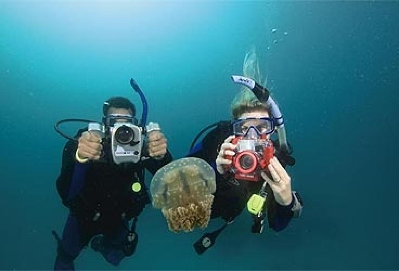 PADI Digital Underwater Photographer Specialty course | Scuba Diving