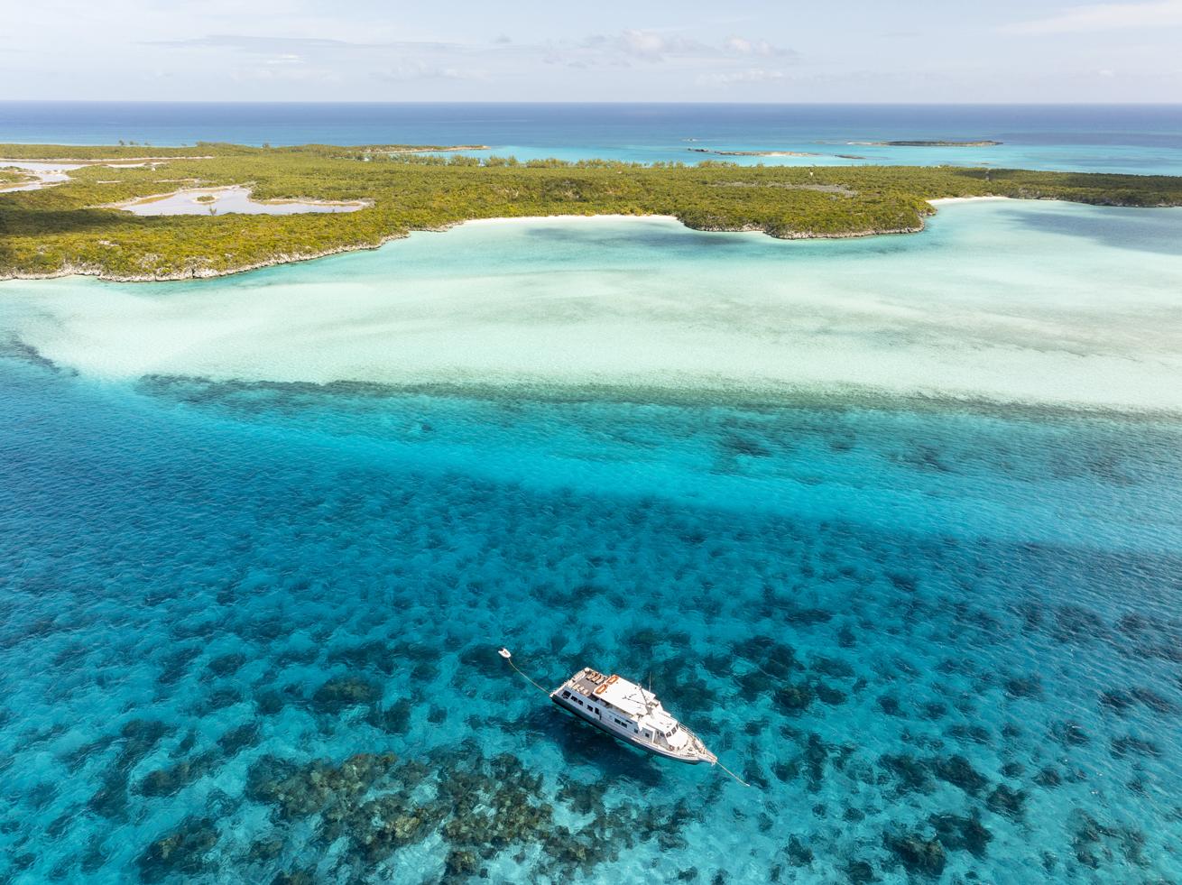 Unexpected Adventure in the Bahamas | Scuba Diving