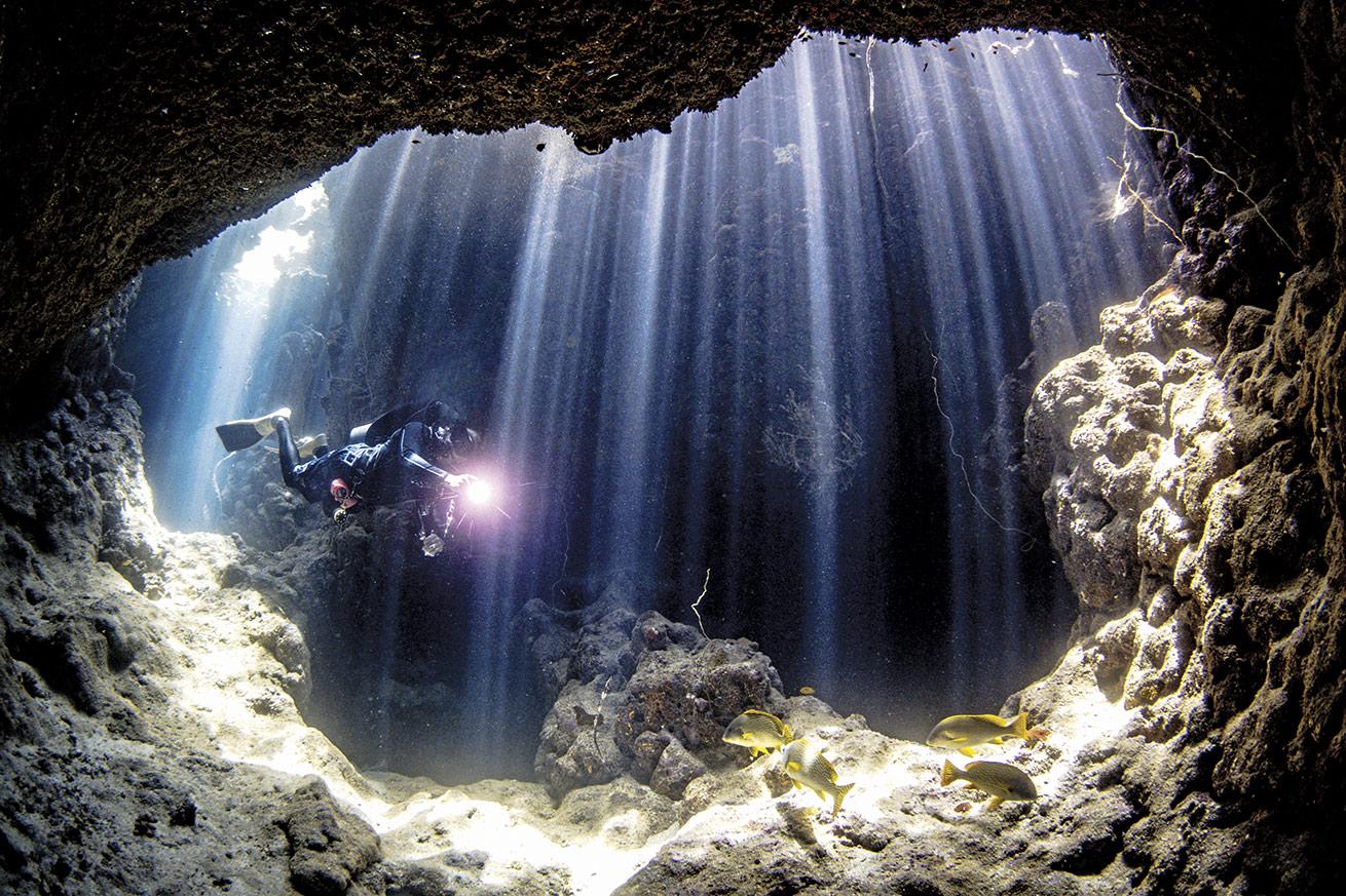 Diving Saudi Arabia's Mesmerizing Red Sea | Scuba Diving