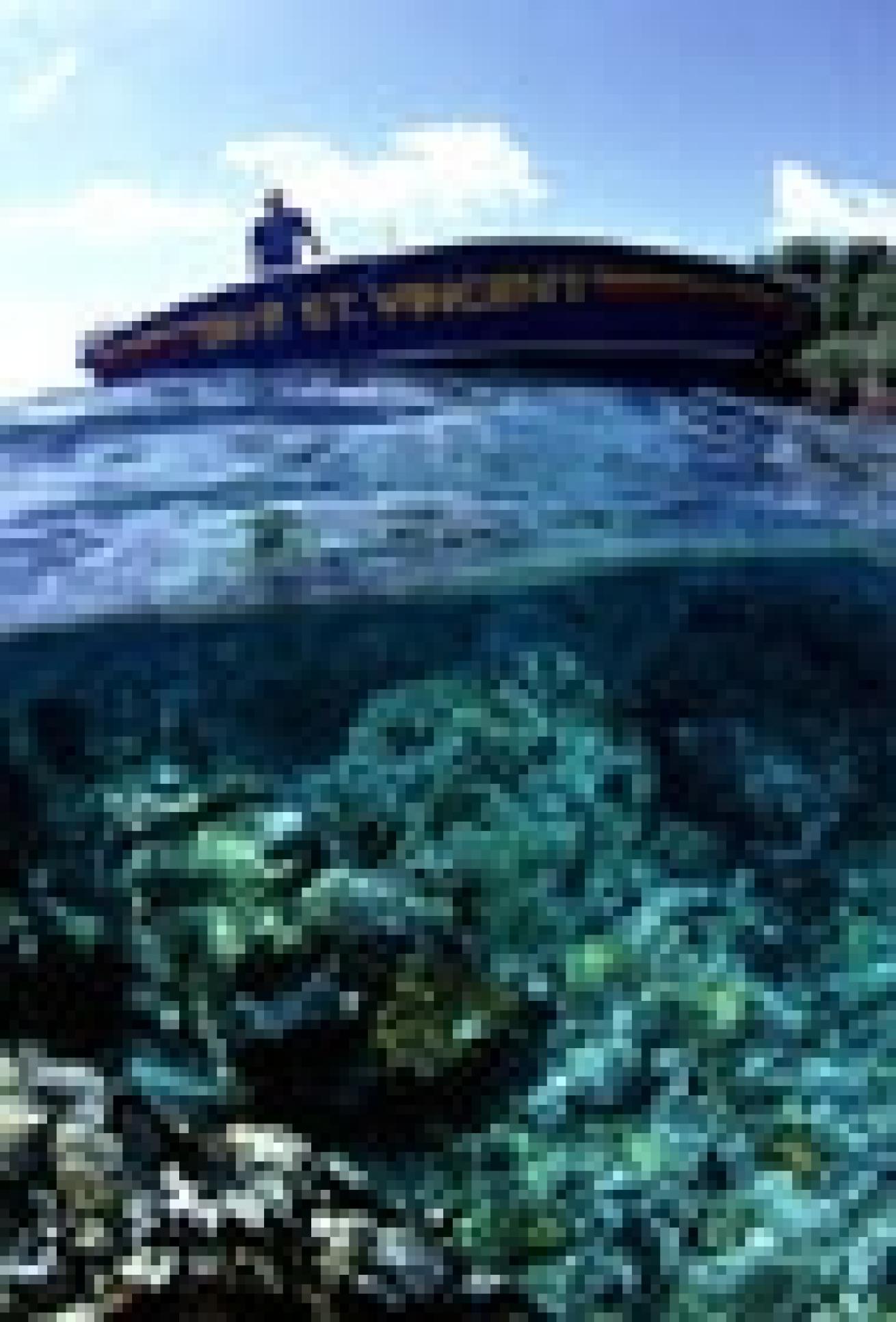 See St. Vincent | Scuba Diving