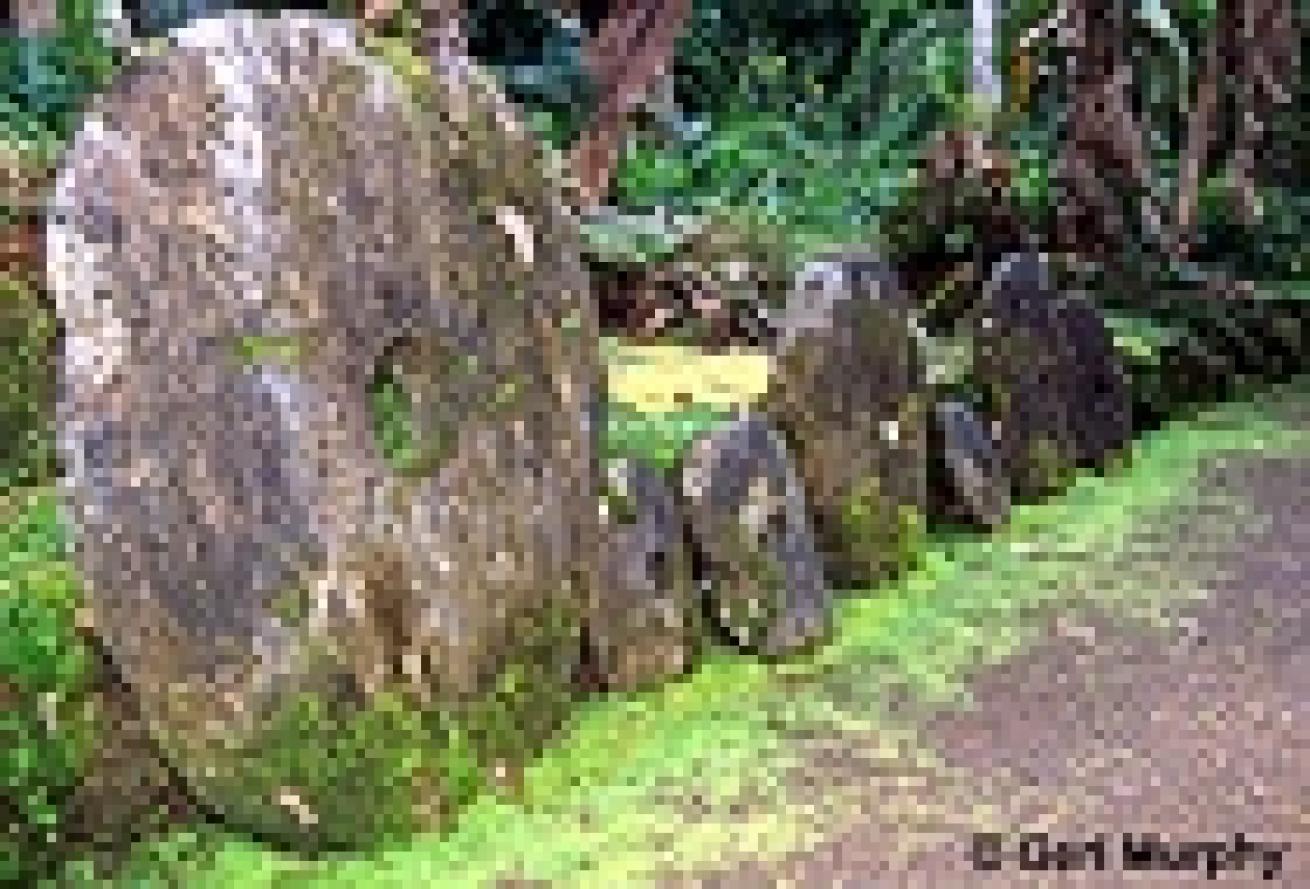 Yap's Amazing Stone Money | Scuba Diving