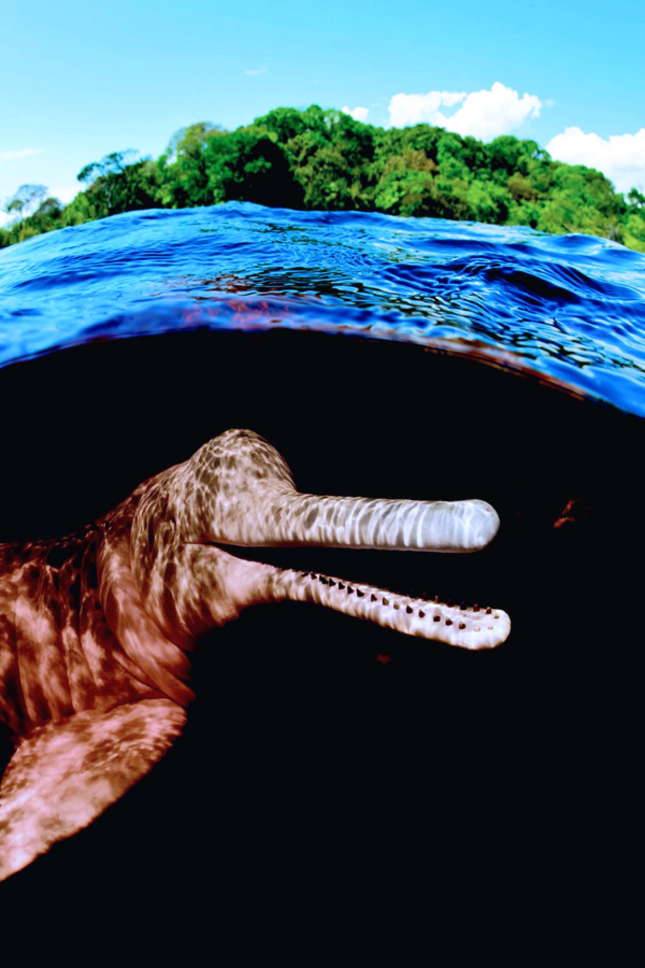 8 Unforgettable Photos of Some of the World's Best Dives | Scuba Diving