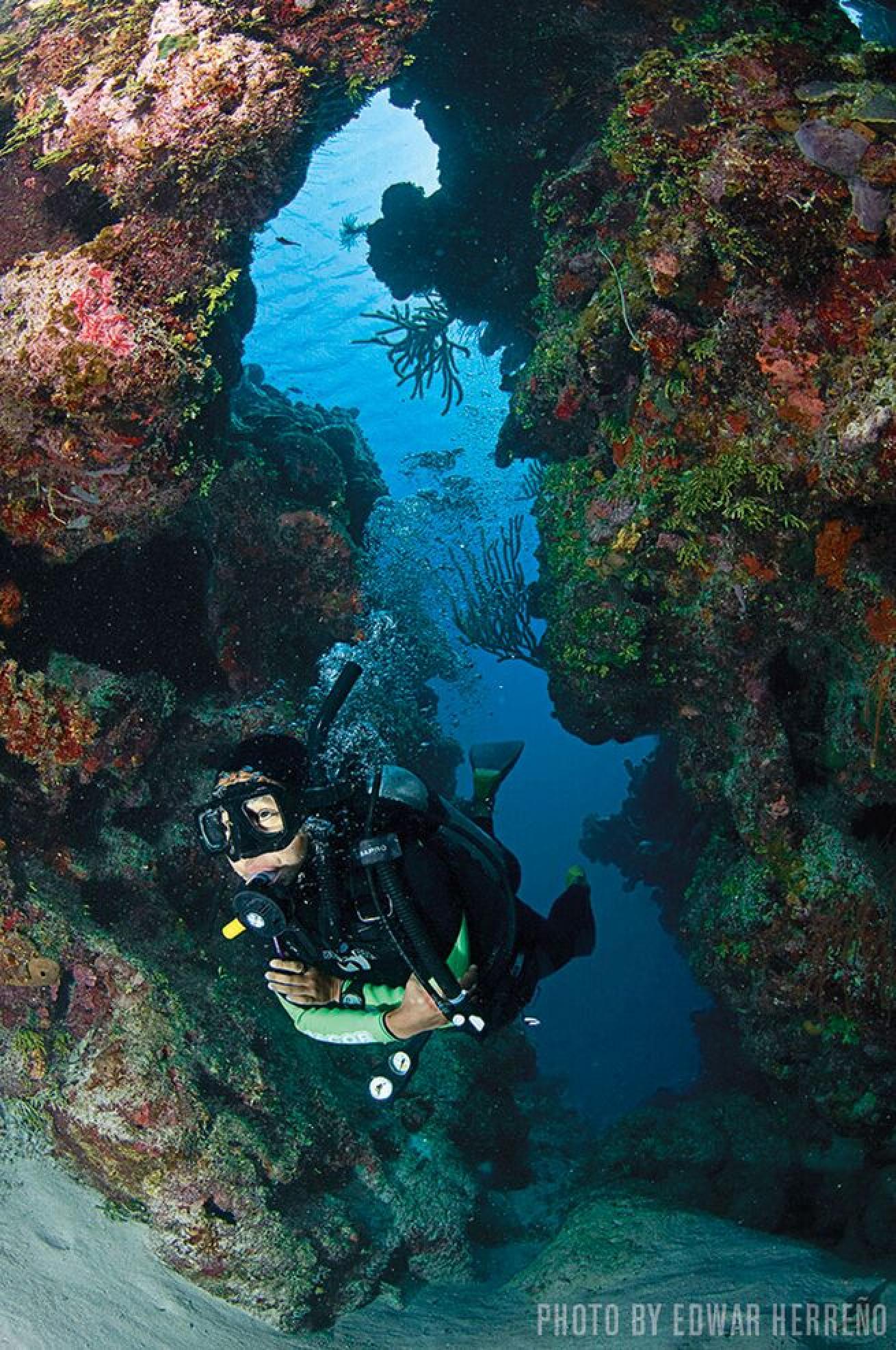 50 Best Dive Sites in the World | Scuba Diving
