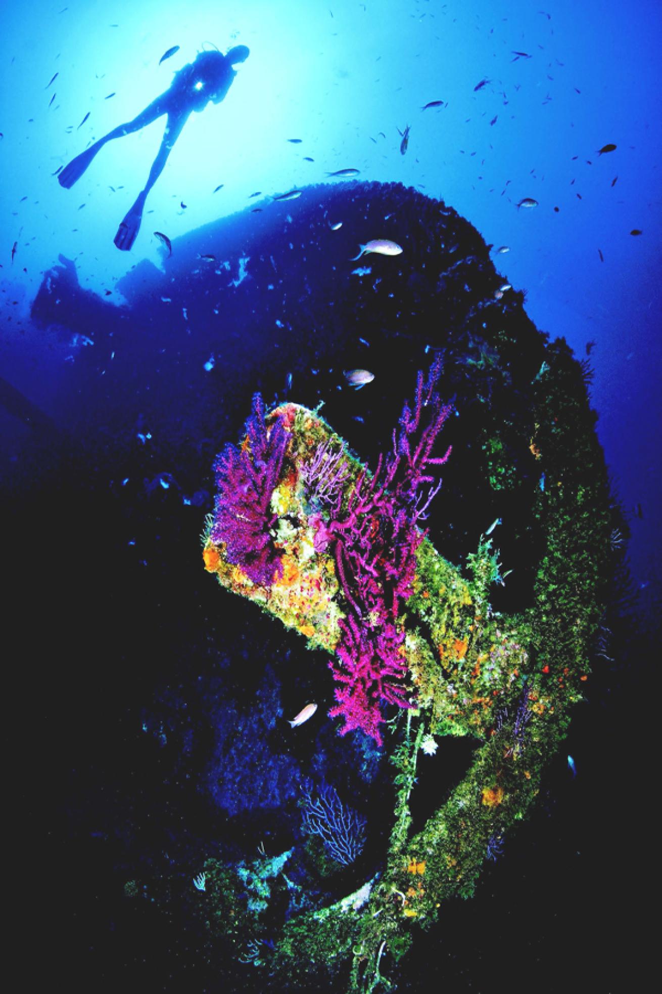 8 Unforgettable Photos of Some of the World's Best Dives | Scuba Diving