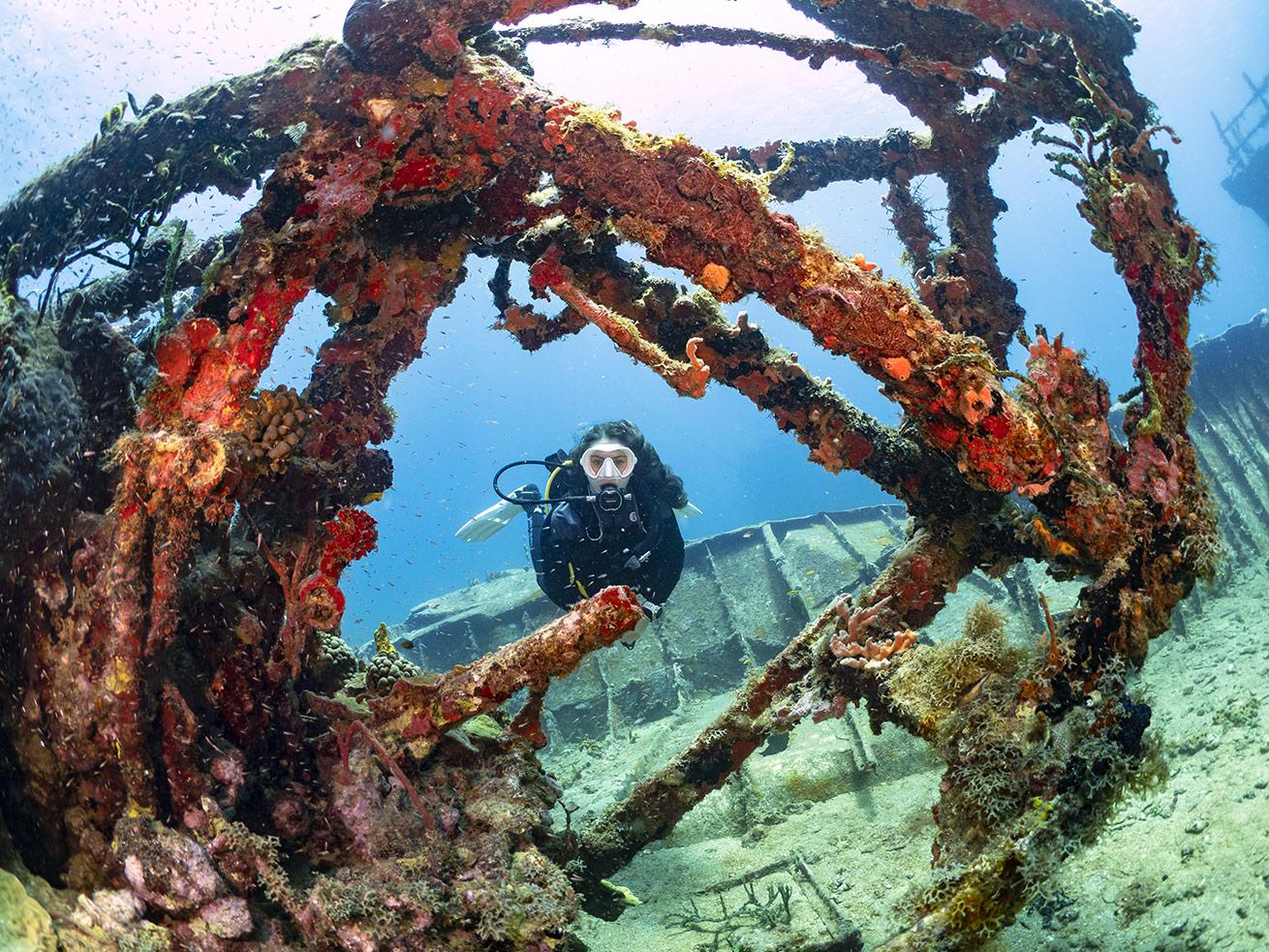 Guide to St Kitts' Best Diving | Scuba Diving