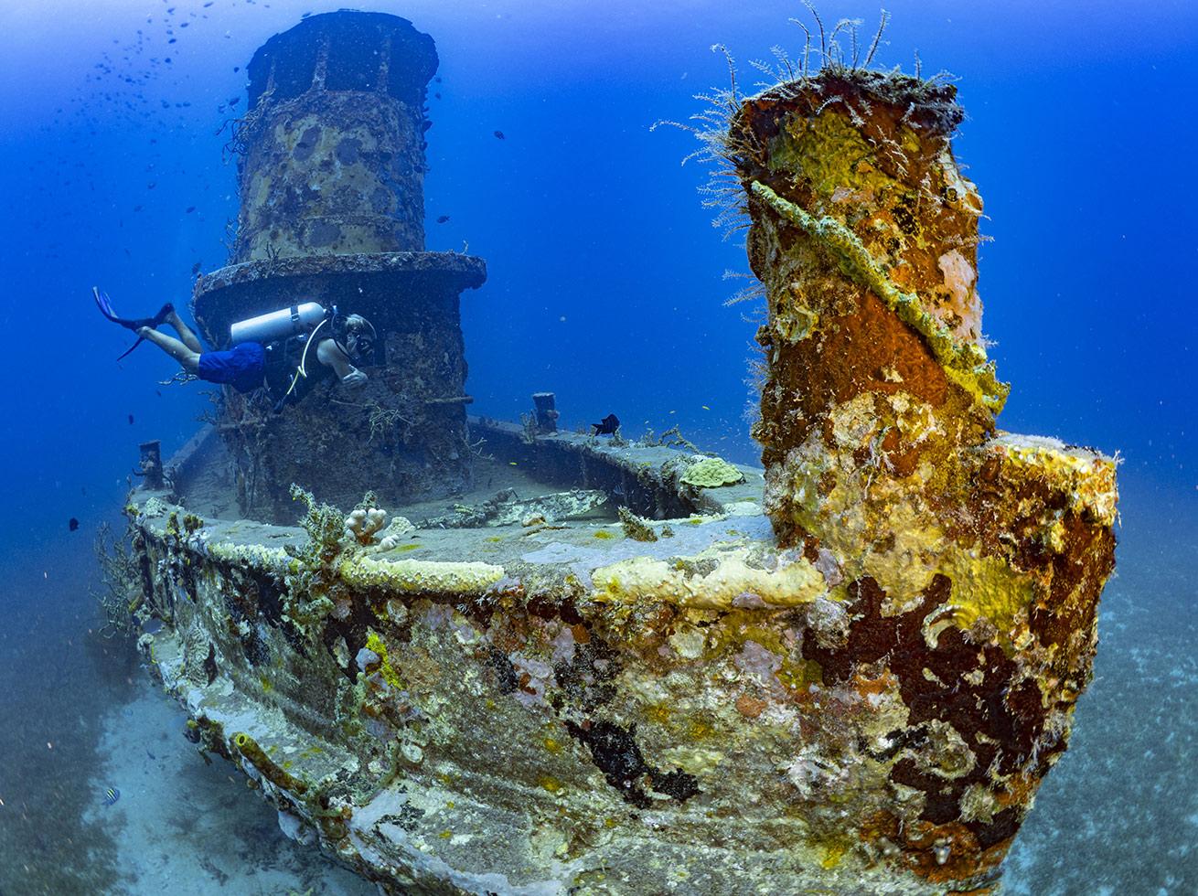 Guide to St Kitts' Best Diving | Scuba Diving